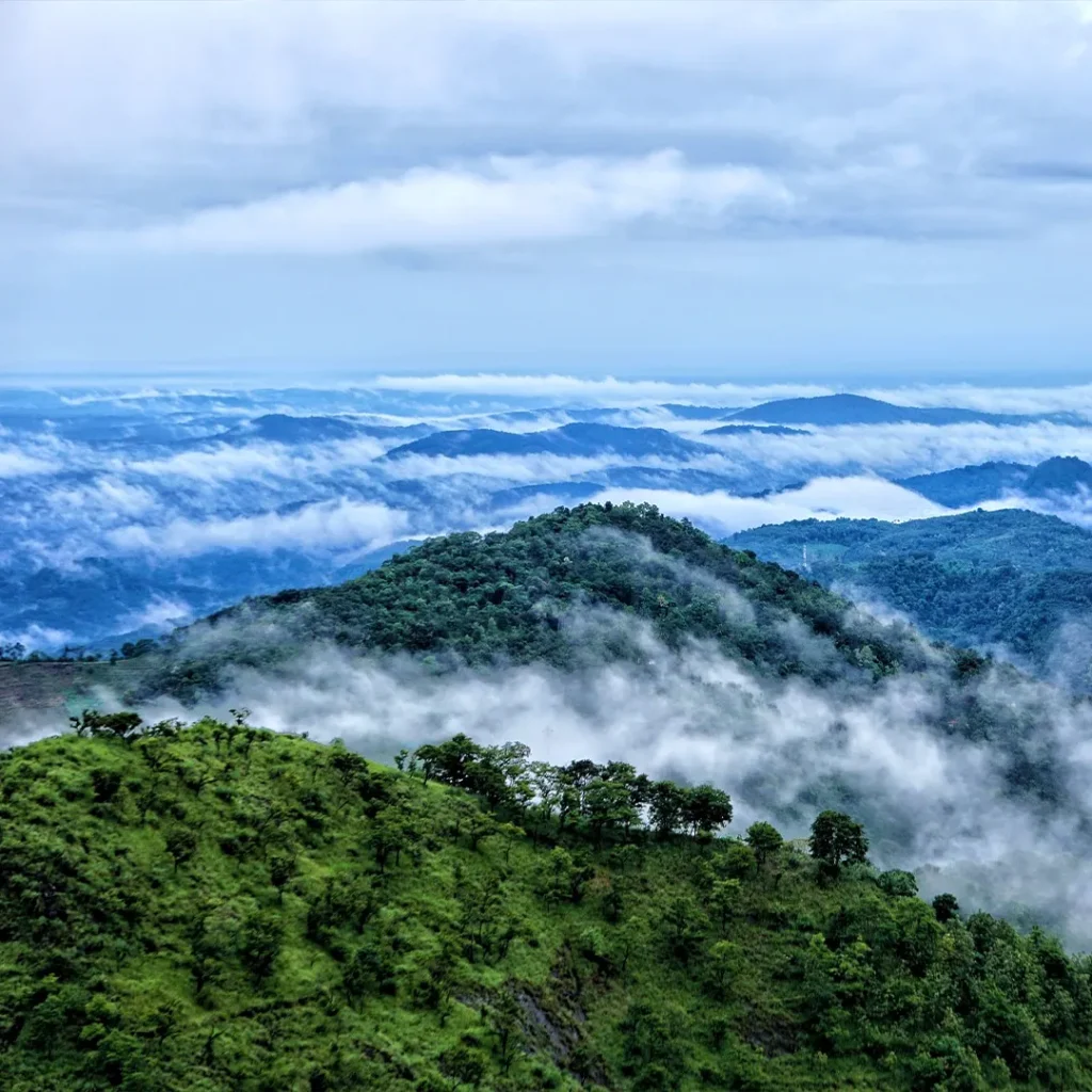 Wayanad Enchanting Tour Package – WayanadX