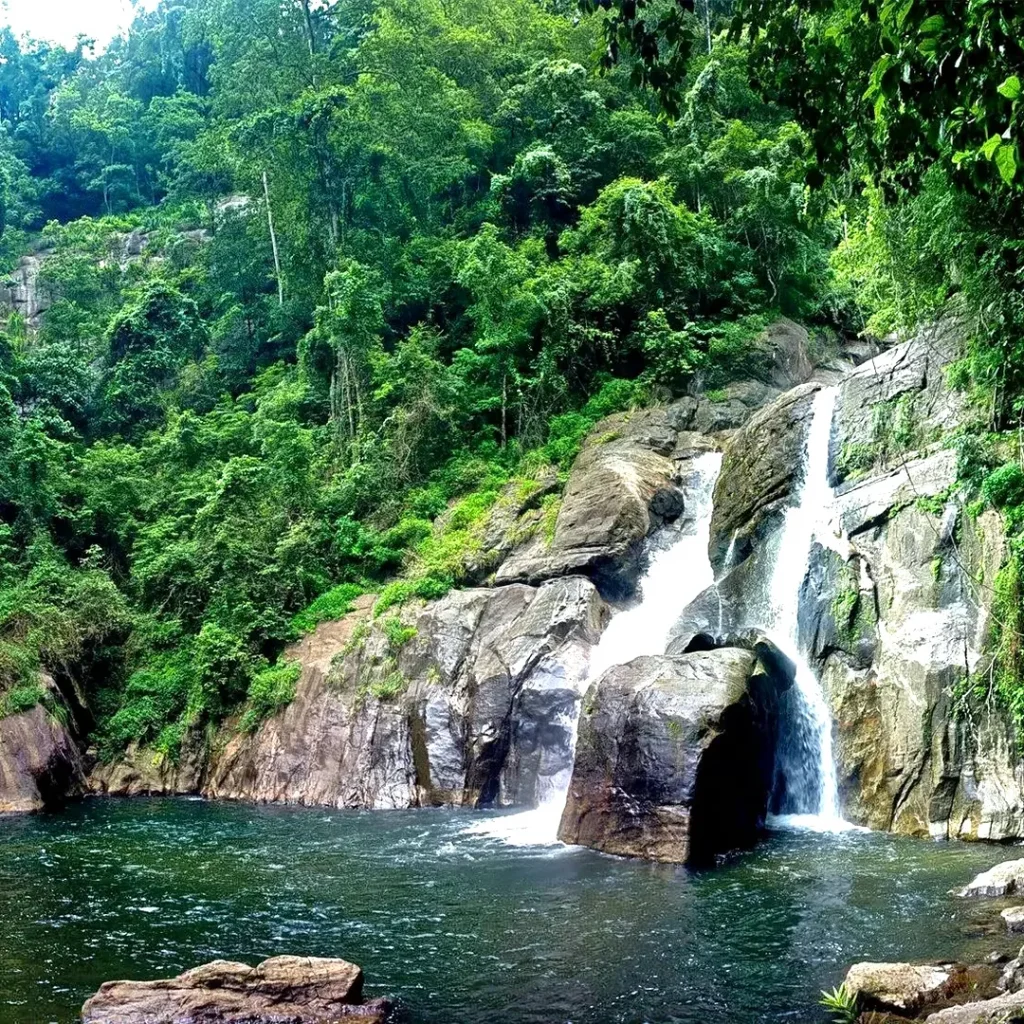 Wayanad Enchanting Tour Package – WayanadX